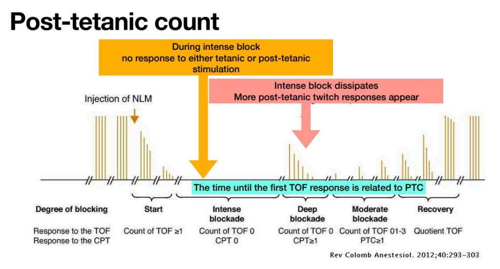 TÌM HIỂU VỀ PHÉP ĐO GIÃN CƠ SÂU / PTC – POST TETANIC COUNT. - GÂY MÊ ...